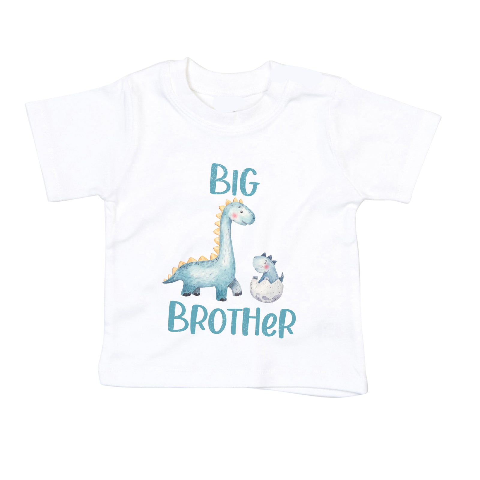 Big Brother & Little Brother Dinosaur Matching Outfit